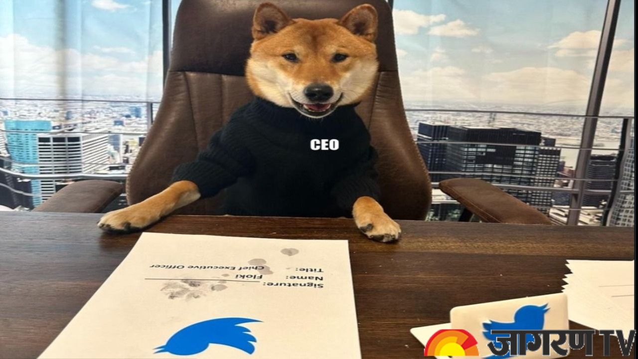Elon Musk shares photo of new Twitter CEO, says he is better than the ... Elon Musk shares photo of new Twitter CEO, says he is better than the ...