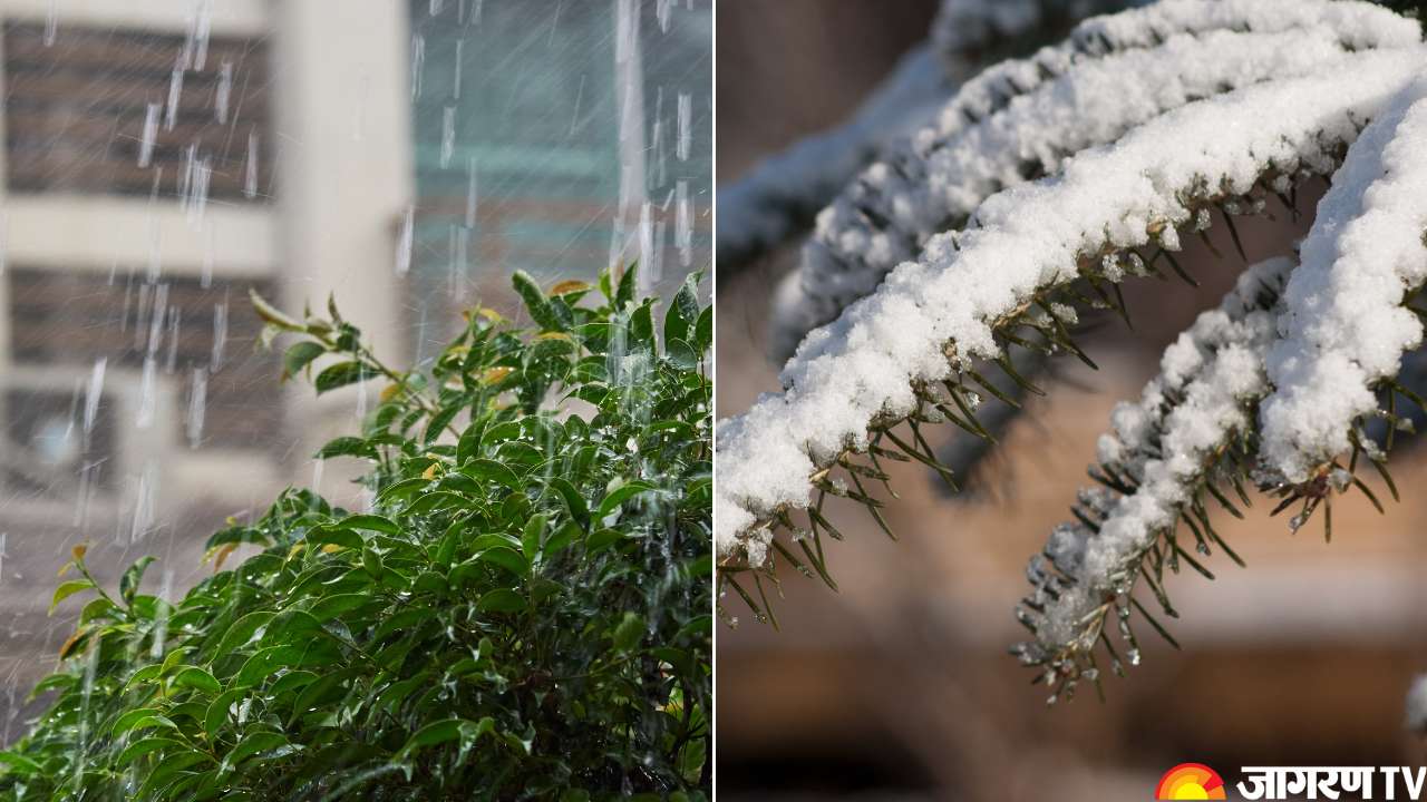 Weather Report Today Update Imd Forecast Heavy Rainfall Alert In Delhi